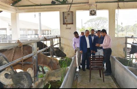 Inspection And Discussion On Iot Based Semi Automated Dairy Farming