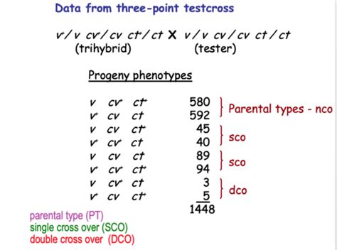 Mapping By Recombinant Frequency Flashcards Quizlet