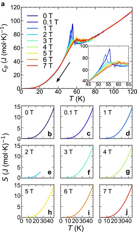 Temperature Dependences Of The Specific Heats And Entropies Under
