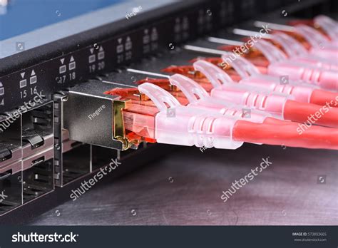 Technology Devices Network Switch Ethernet Cables Stock Photo Shutterstock