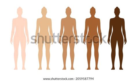 Naked Female Body Different Skin Tones Stock Vector Royalty Free Shutterstock