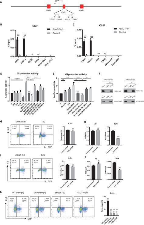 Transcription Factor Id1 Plays An Essential Role In Th9 Cell