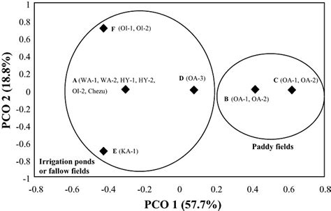 Principal Coordinate Analysis Based On Shared Allele Distances Of