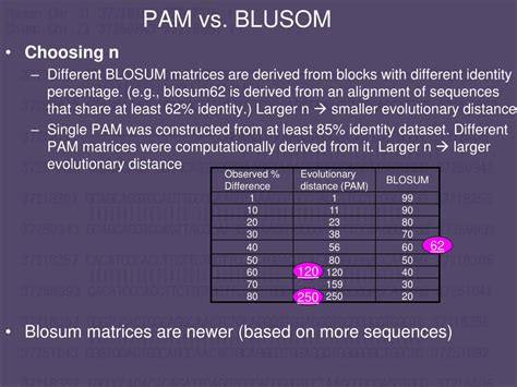Ppt Pairwise Sequence Alignment Powerpoint Presentation Free Download Id 4642944