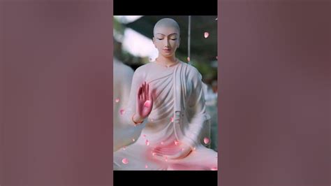 පින්වත් යශෝදරා මහරහත් තෙරණියට මාගේ නමස්කාර වේවා 🙏🙏 බිම්බා දේවිය රාහුල මාතාව Shorts Youtube