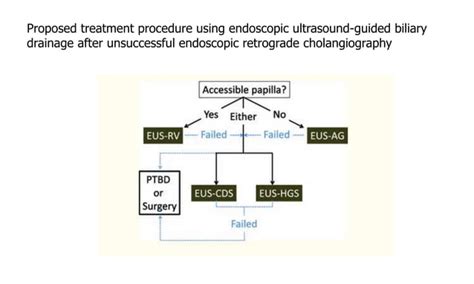 Role Of Eus In Hepatobiliary Diseases Pptx