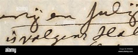 This Work Focuses On The Biology And Physiology Of Trees Detailing Their Growth Structure And