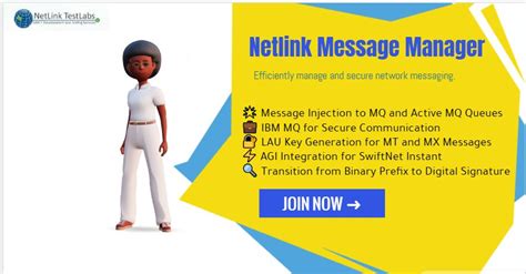 netlink payments on linkedin fintech securemessaging innovation