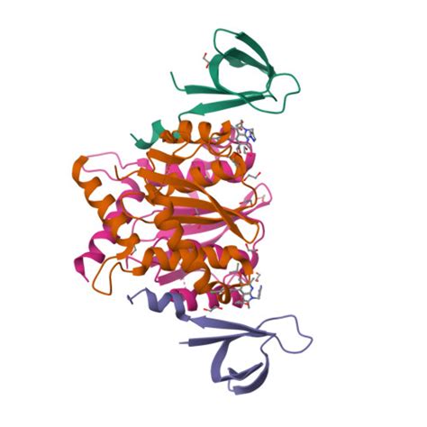 Rcsb Pdb 8a1q Hiv 1 Integrase Catalytic Core Domain And C Terminal Domain In Complex With