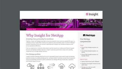 Why Insight For Netapp Insight
