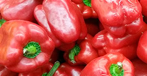 Beneficios Y Curiosidades Del Pimiento Vegasana Vegasana