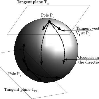 Illustration Of Tangent Spaces Tangent Vectors And Geodesics P 1 And Download Scientific
