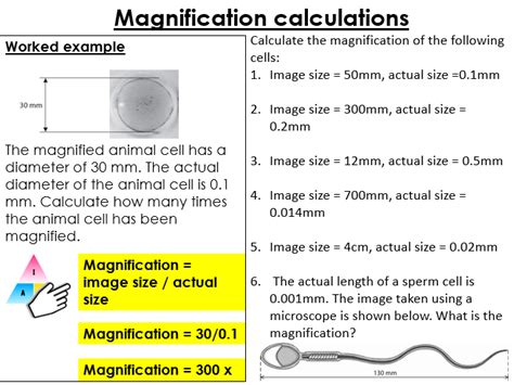 Microscope Objective Magnification Calculation Notes
