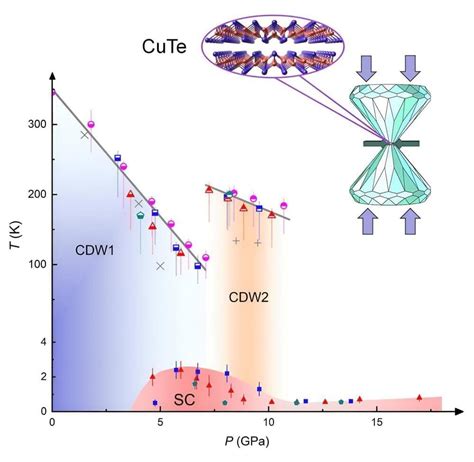 Two Distinct Charge Density Wave Orders And Their Intricate Interplay With Superconductivity In