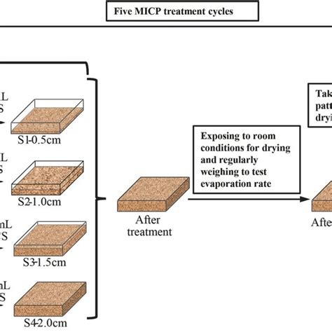 Schematic Drawing Of The Testing Procedure Download Scientific Diagram