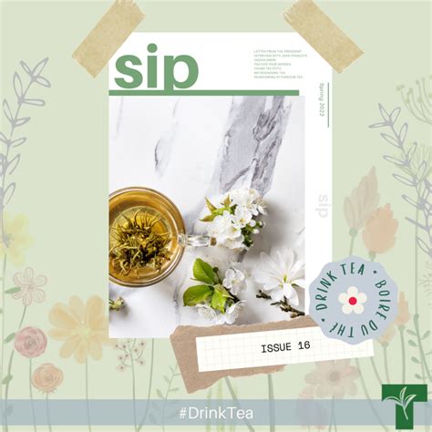 Sip Issue Launch TAC Tea Sommelier Certification Program