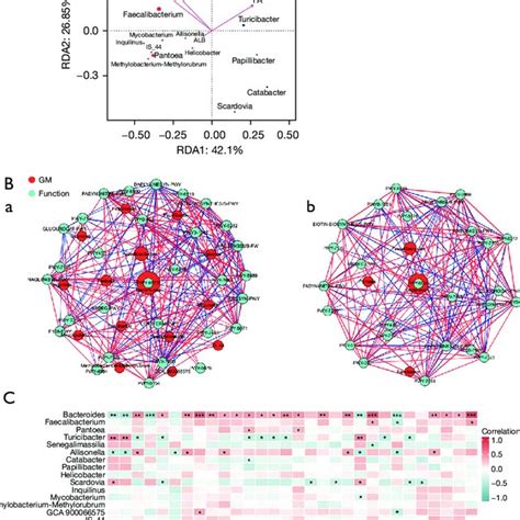 Identification Of Gut Microbe Using Metagenomics Analysis A Venn Download Scientific Diagram