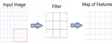 Deep Learning Predicting Skin Cancer By Rohan Gupta The Startup Medium