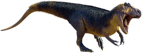 Australian Dinosaurs Broome Trackmakers Dinosaur Coast