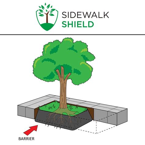 Tree Root Barrier 18 Inch Standard Duty Sidewalk Shield