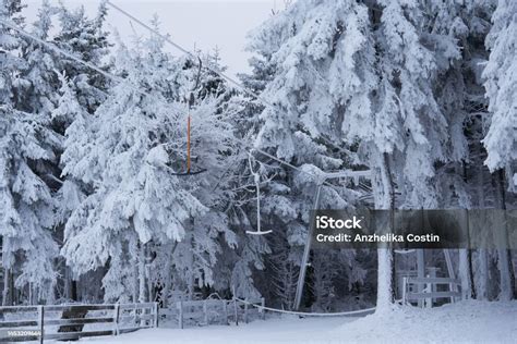 독일 헤센주 렌의 바세르쿠페 산에 있는 겨울 숲의 눈 속에서 스키 리프트 스테이션 0명에 대한 스톡 사진 및 기타 이미지 0명 1월 가문비나무 Istock