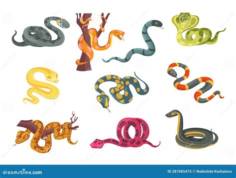 Colorful Poisonous Snakes Cartoon Suffocating Reptiles Creeping
