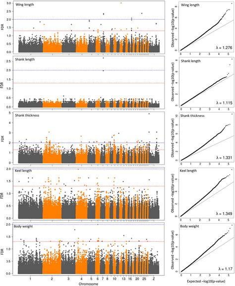 Manhattan Plot And Quantile Quantile Plots Of Genome Wide Association