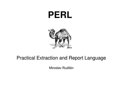 Ppt Perl Powerpoint Presentation Free Download Id3391173