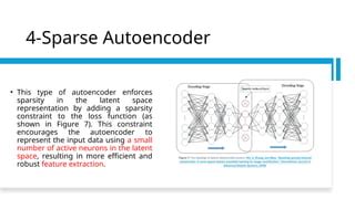 Introduction To Autoencoders Types And Applications Pptx