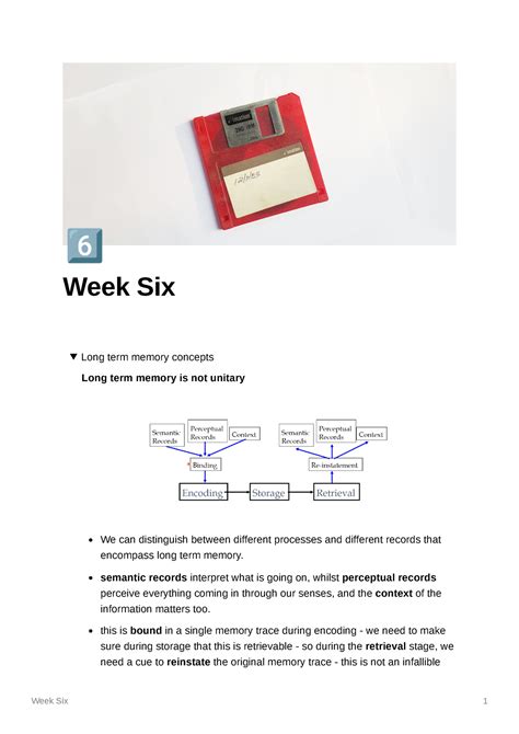 Week Six Cog 3rd Year Cognition Lecture And Reading Notes In Depth