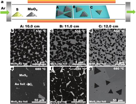 Coverage Tunable Growth Of Monolayer Mos 2 On Au Foils Under Different