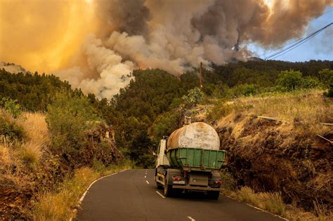 El Incendio Forestal De La Palma En Imágenes