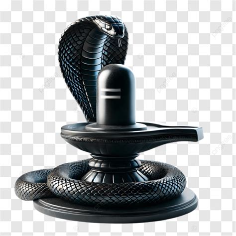 Maha Shivaratri Daridra Bhanjan Hindu God Black Marble Shiva Lingam ...