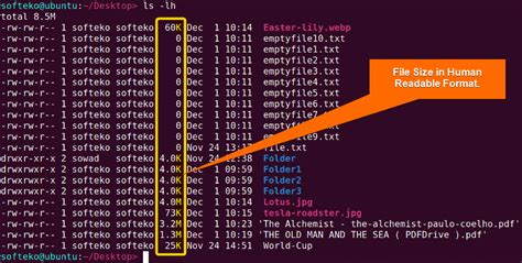 linux ls commands