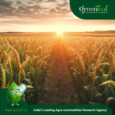 Liyf Advances Patent Pending 2g Bioethanol Technology