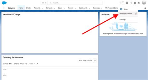 Accessing Developer Console In Salesforce