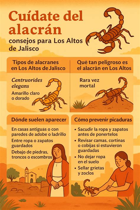 Noti Digital 🦂tipos De Alacranes En Los Altos De Jalisco En Esta