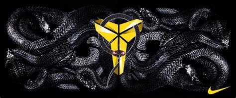 Kobe Bryant Wallpaper Black Mamba Kobe Bryant Black Mamba Background