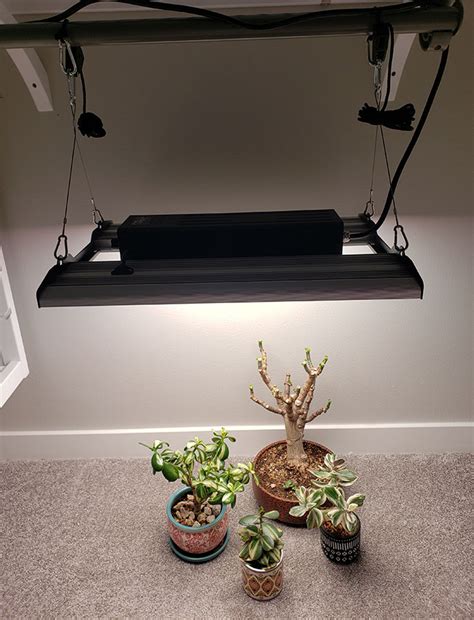 Medic Grow Mini Sun 2 320w Review An Ideal Led Grow Light