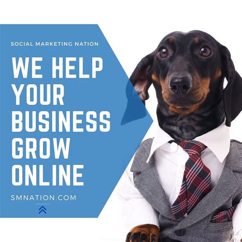 Social Marketing Nation Llc Buy Native