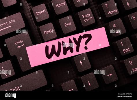 Hand Writing Sign Why Business Showcase Asking For What Reason And Purpose Expressing Surprise