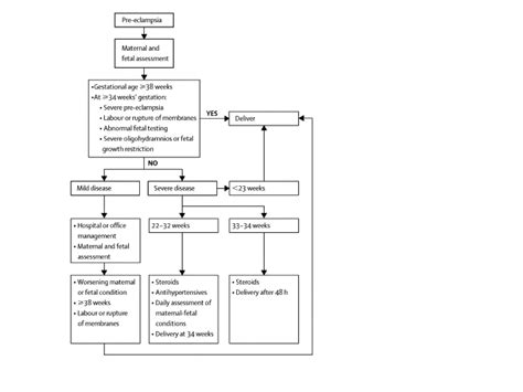 Prevention And Management Of Pre Eclampsia Pptx Pregnancy Reproductive Health