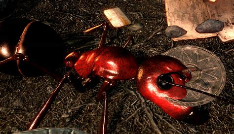 Collision Skyrim Non Adult Mods Loverslab