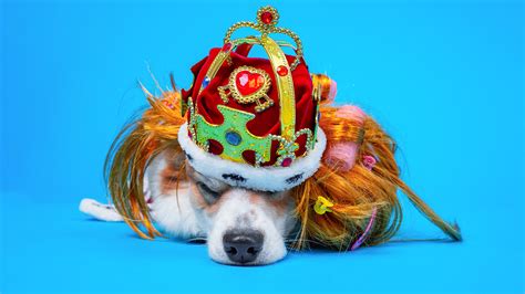 Avoiding Leadership Pitfalls Key Strategies For Maintaining Effective Leadership Online