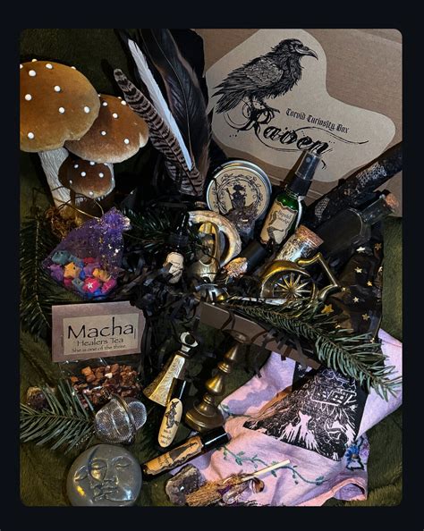 Corvid Curiosity Witch Boxes Shamanic Moonbeam