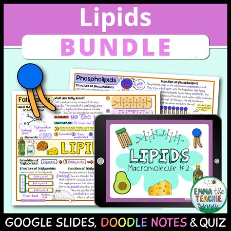 Lipids Bundle Emmatheteachie