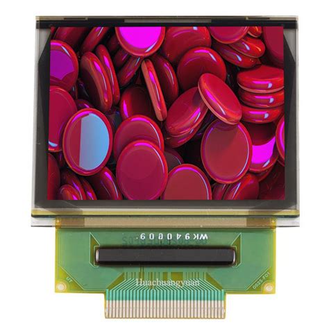 High Quality Inch Color OLED Display Module With X Resolution And Seps IC OLED