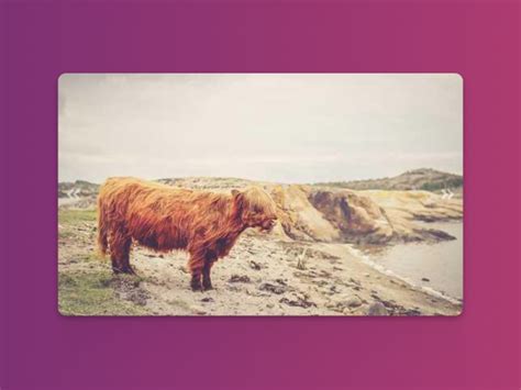 Lightweight Image Slider In Vanilla Js — Codehim