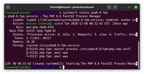 如何在Ubuntu 20 04上安装PHP 8 Linux迷