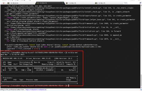 Bug Issue 5043 PaddlePaddle PaddleNLP GitHub